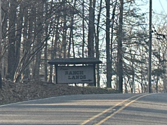 Bob Cat Ct