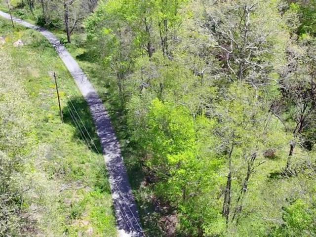 Bob Byrd Rd, Spanishburg, WV 25922