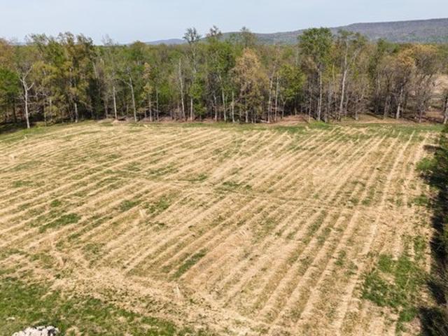 Bob Meadows Rd, Manchester, TN 37355
