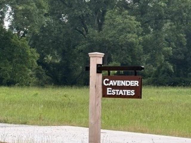 Bob Smith Rd Unit 4, Sharpsburg, GA 30277