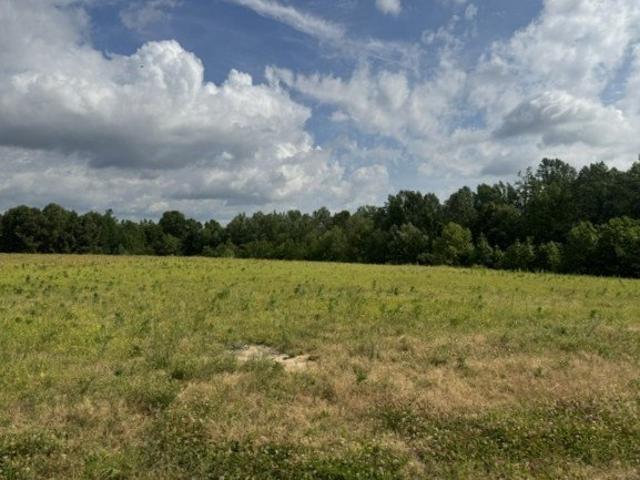 Bob Perry Rd, Bethpage, TN 37022