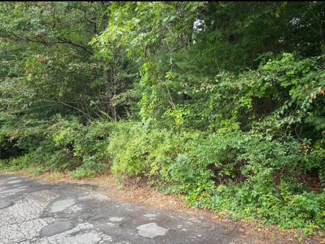 Bob White Run, Cotuit, Plot For Sale