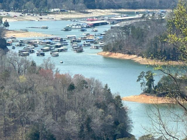 Bob Wright Lot 32 Rd, Maynardville, TN 37807