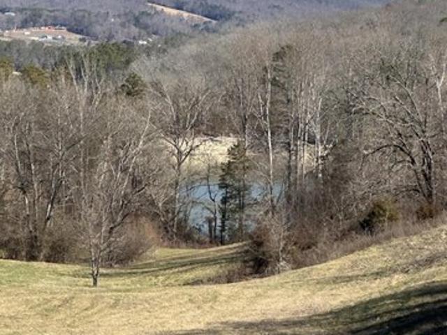 Bob Wright Rd Lot 41, Maynardville, TN 37807