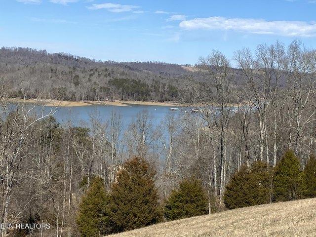 Bob Wright Rd Lot 32, Maynardville, TN 37807