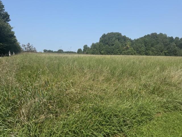 Bobbitt Rd, Medina, TN 38355