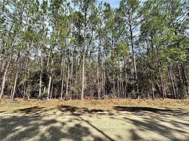 Bobby Jones Dr Lot 127, Abita Springs, LA 70420