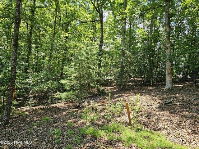 Bobcat Ln Lot 10, Murphy, NC 28906
