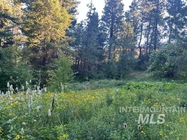 Bobcat Ln, Lewiston, ID 83501