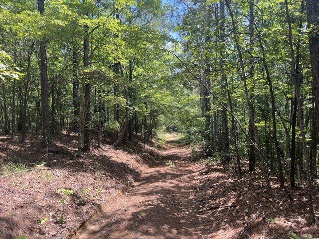 Bobo Loop Rd, Bobo, AL 35594