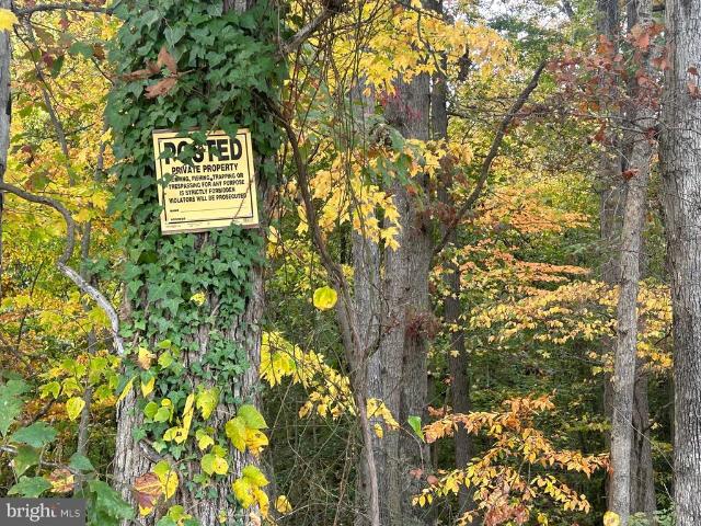 Bock Road