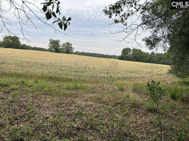 Bodie Rd, Pelion, SC 29123