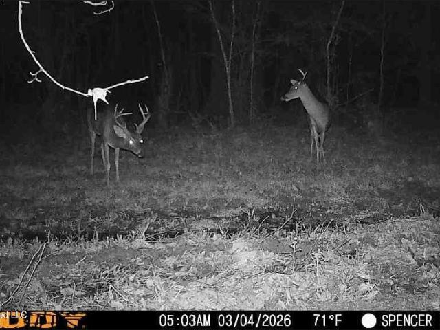 Bogue Chitto Road, Bogue Chitto, MS 39629