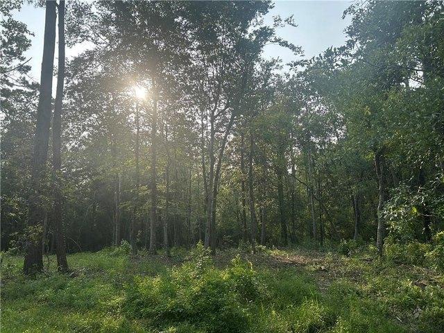 Bogue Falaya Dr Lots 158 & 159, Covington, LA 70433