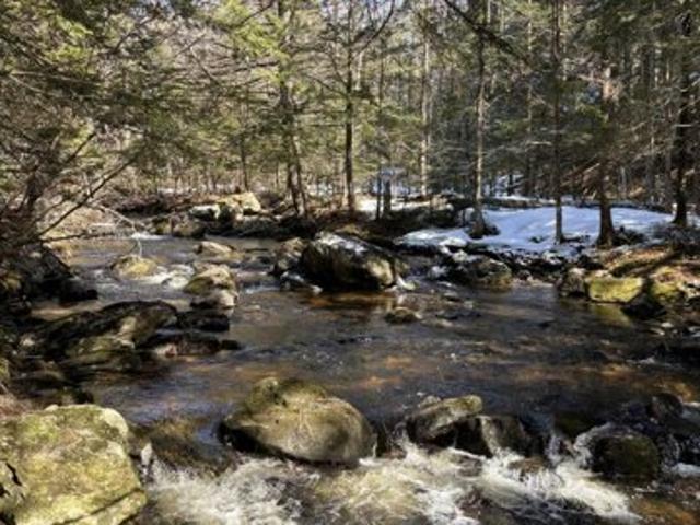 Bog Brook Loop, West Paris, Plot For Sale