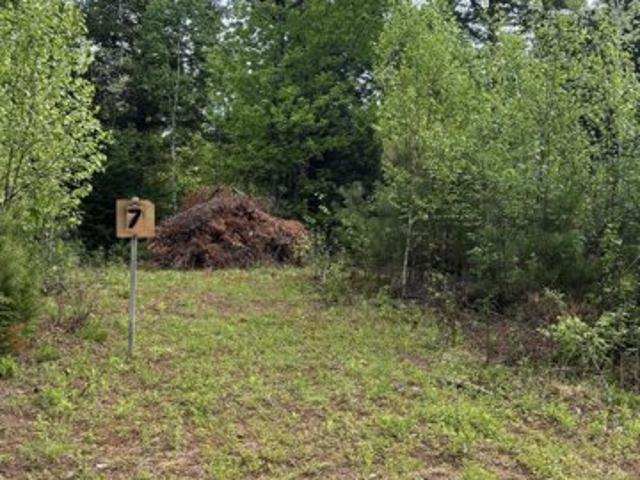 Bog Brook Loop, West Paris, Plot For Sale