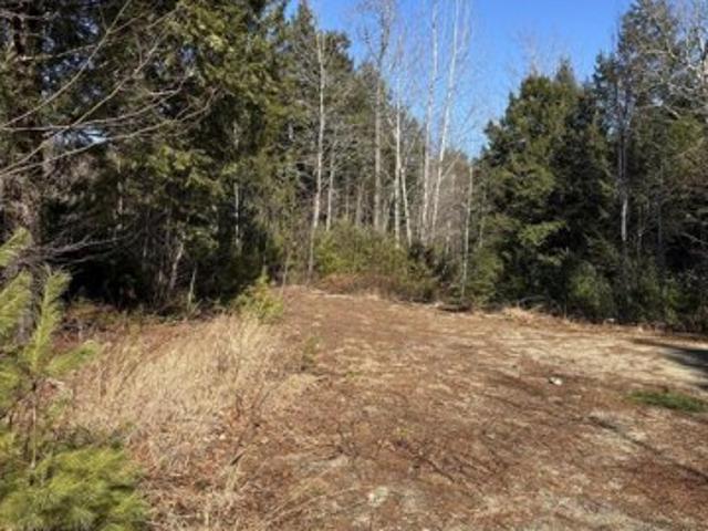 Bog Brook Loop, West Paris, Plot For Sale