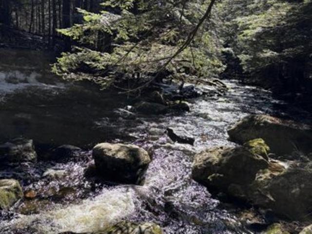 Bog Brook Loop, West Paris, Plot For Sale