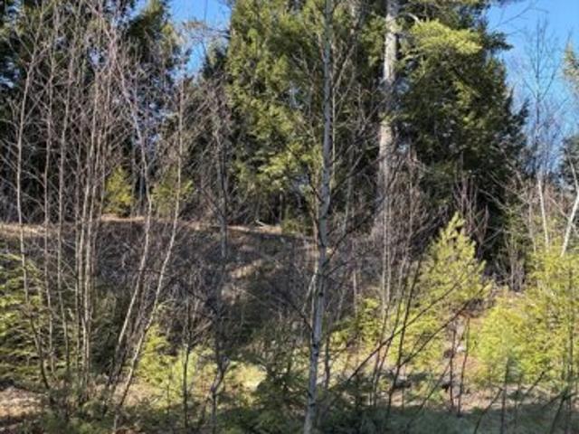 Bog Brook Loop, West Paris, Plot For Sale