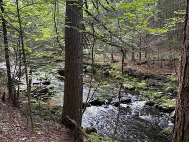 Bog Brook Loop, West Paris, Plot For Sale