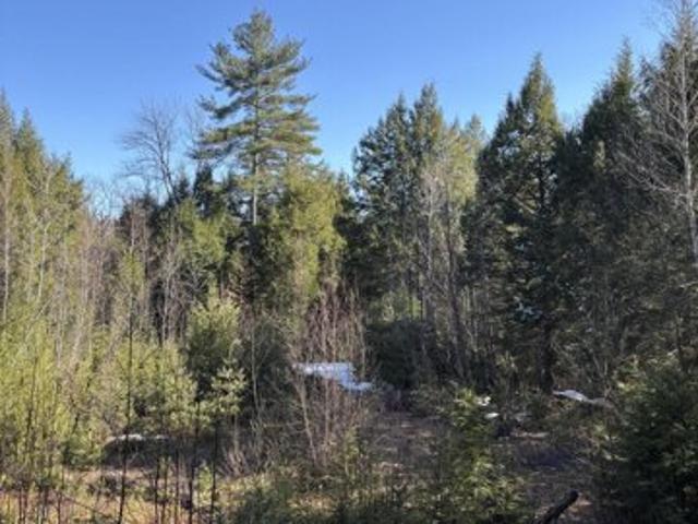 Bog Brook Loop, West Paris, Plot For Sale