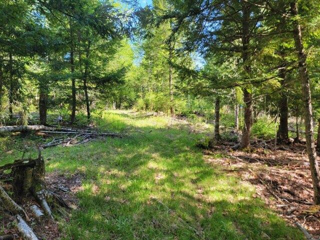 Bog Brook Rd, China, Plot For Sale