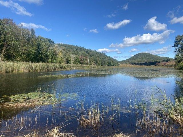 Bog Hollow Rd, Amenia, NY 12501