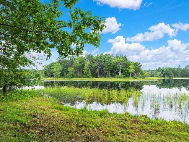 Bog Hill Rd, West Gardiner, Plot For Sale