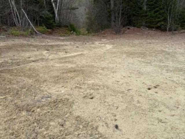 Bog Rd Lot,enfield, Plot For Sale