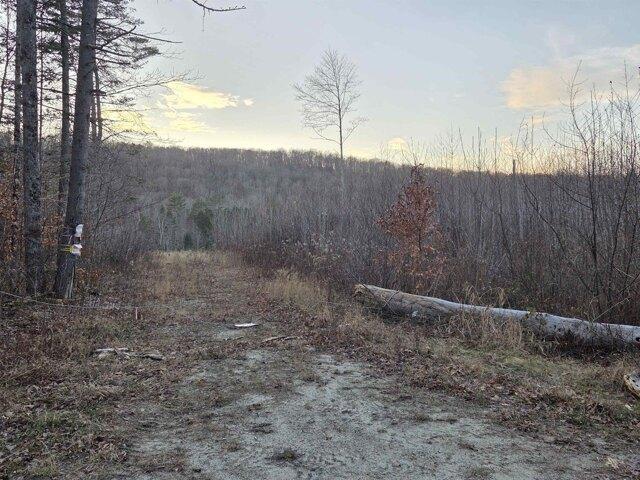 Bog Rd Lot,enfield, Plot For Sale