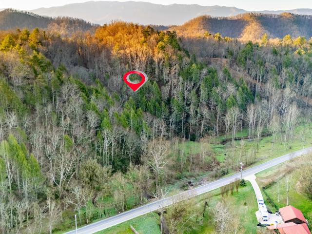 Bogard Rd, Cosby, TN 37722