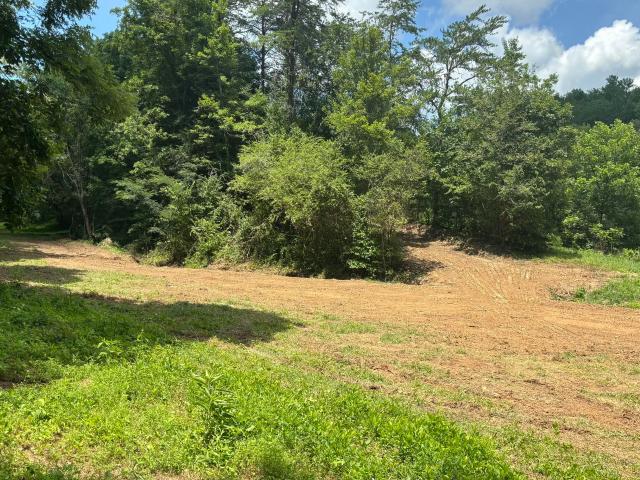 Bogard Rd, Cosby, TN 37722