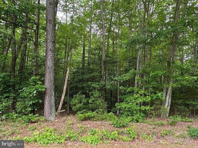 Bogey Neck Rd, Heathsville, VA 22473