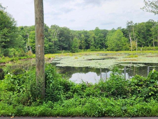 Bogg Ln, Lebanon, CT 06249