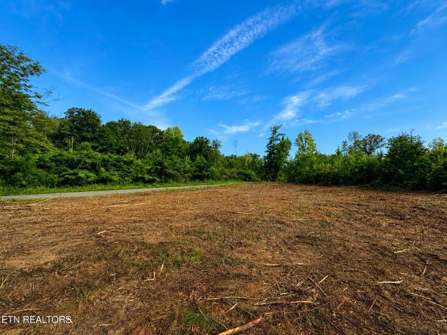 Boiling Springs Rd, Vonore, TN 37885