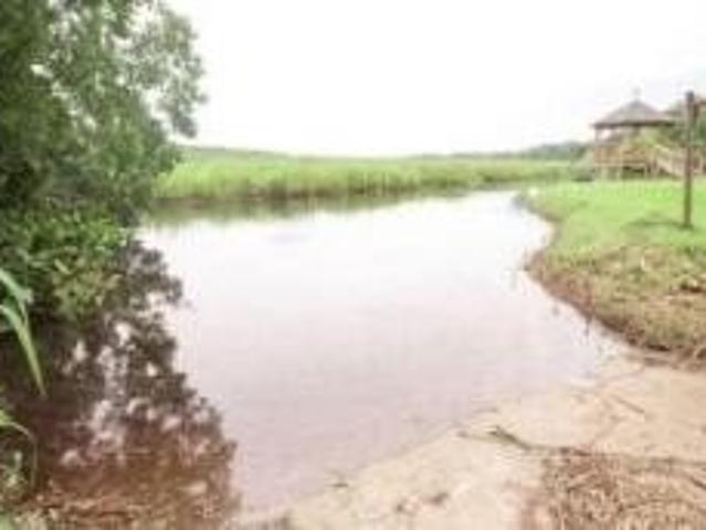 Bolen Point Ave, Green Pond, SC 29446