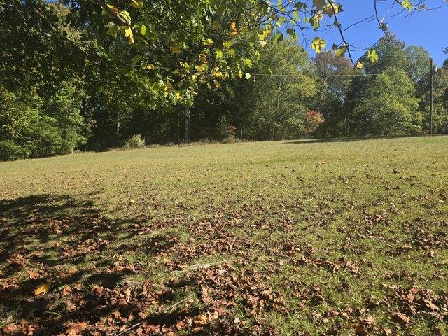 Boley Rd, Mount Nebo, WV 26679