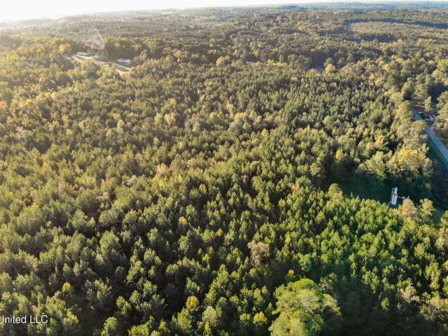 Bolin Long Creek Road, Meridian, MS 39301