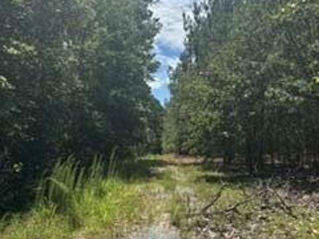Boling Way, Southern Pines, NC 28387