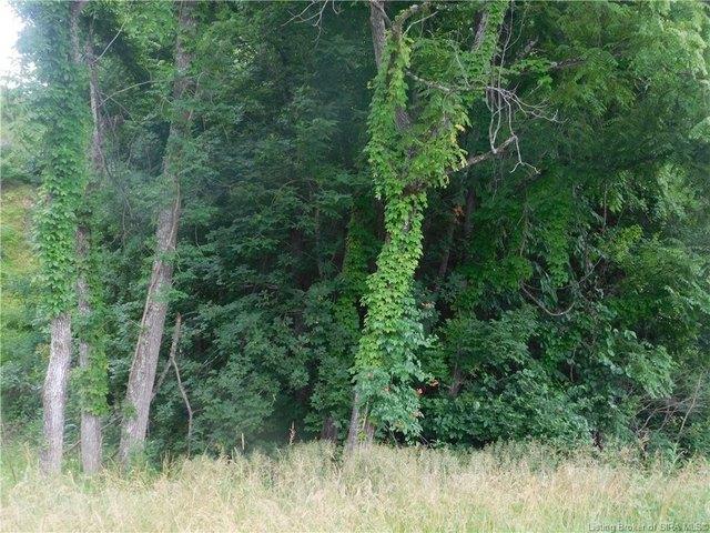Borden Greenville Rd, Borden, IN 47106