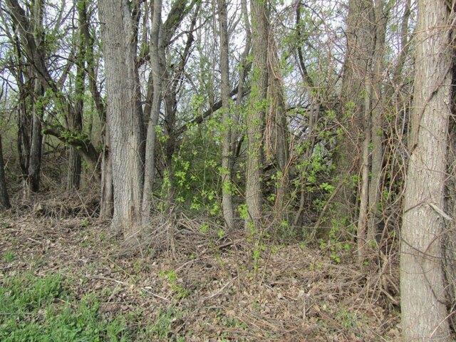 Border Rd, Alburgh, Plot For Sale