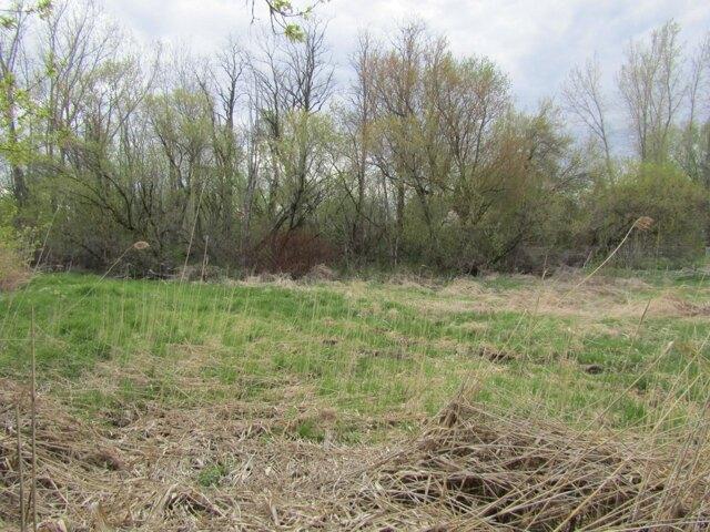 Border Rd, Alburgh, Plot For Sale