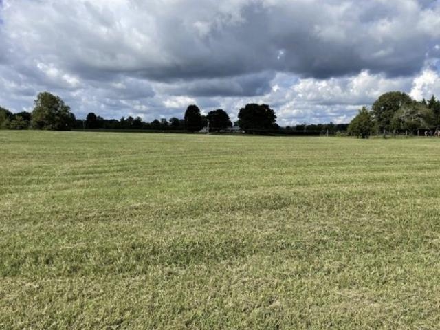 Boro Cir, Hillsboro, TN 37342