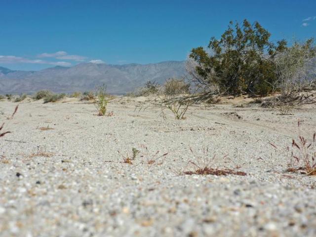 Borrego Salton Seaway
