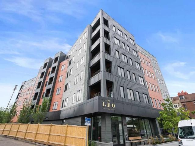 Boston MA 02135 98396024