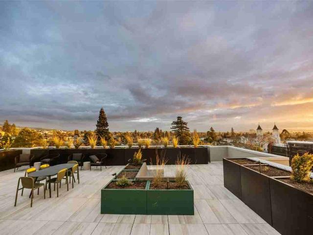 Bosco Modern Studio Suites in Downtown Berkeley Community! 6 Bedroom Apartment for Rent at 1717 University Ave, Berkeley, CA 94703 Berkeley Flats