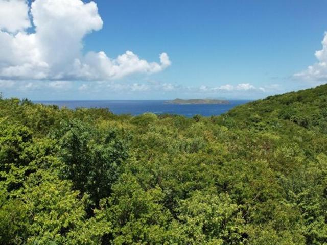 Botany Bay We, Saint Thomas, Plot For Sale