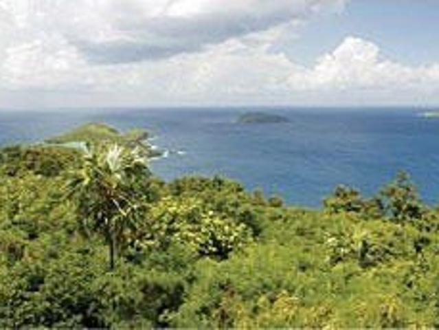 Botany Bay We, Saint Thomas, Plot For Sale