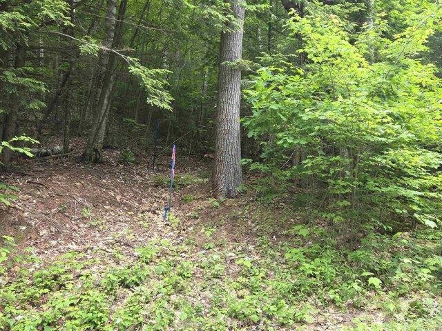 Boulder Dr, Campton, Plot For Sale