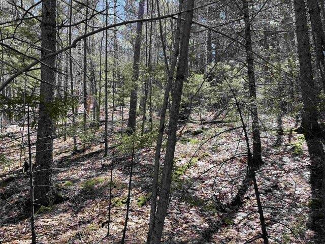 Boulder Dr, Campton, Plot For Sale